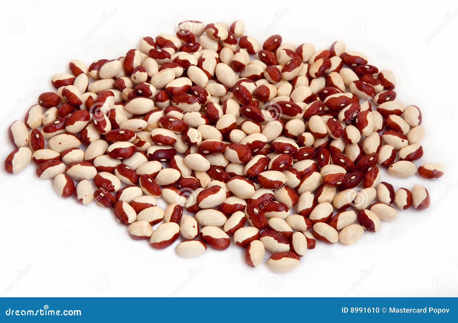 Fagiolo nano fotografia stock. Immagine di raccolta, salute - 8991610