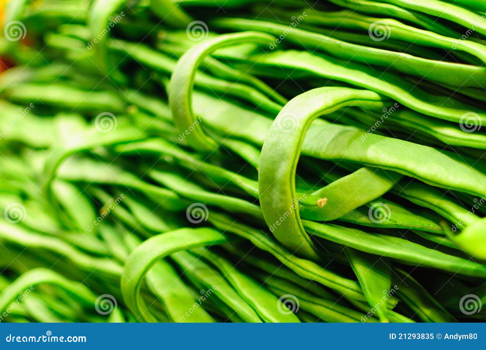 Fagiolo verde immagine stock. Immagine di fagiolo, naughty - 21293835