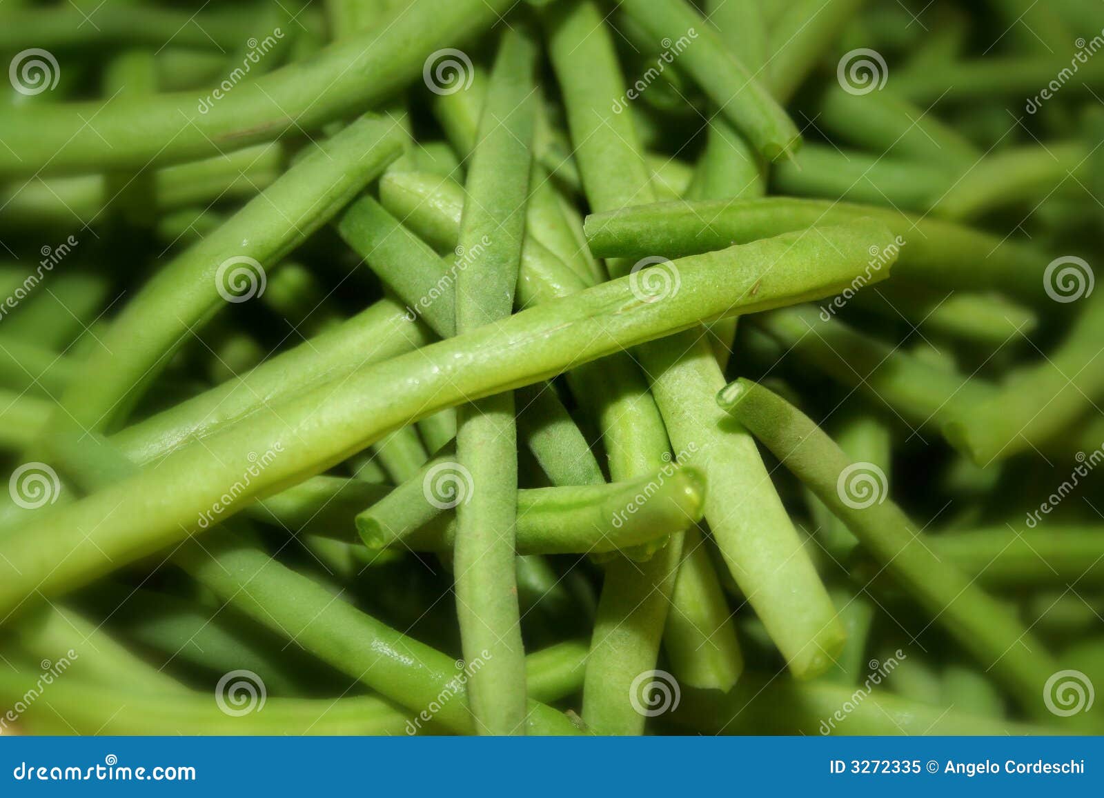 Fagiolo verde immagine stock. Immagine di fibra, giardino - 3272335