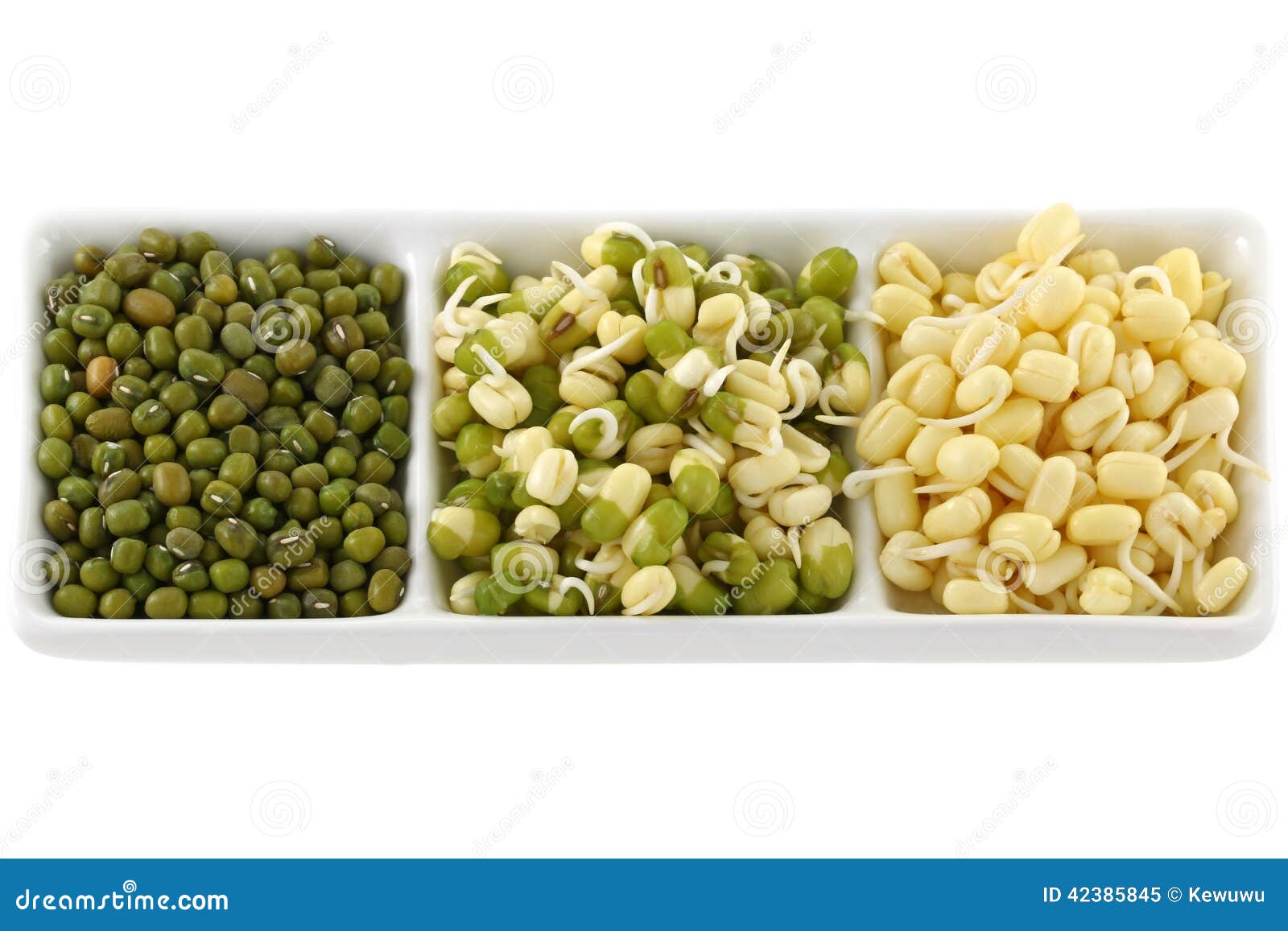 Fagiolo Verde Secco Ed Inzuppato Immagine Stock - Immagine di alimento ...