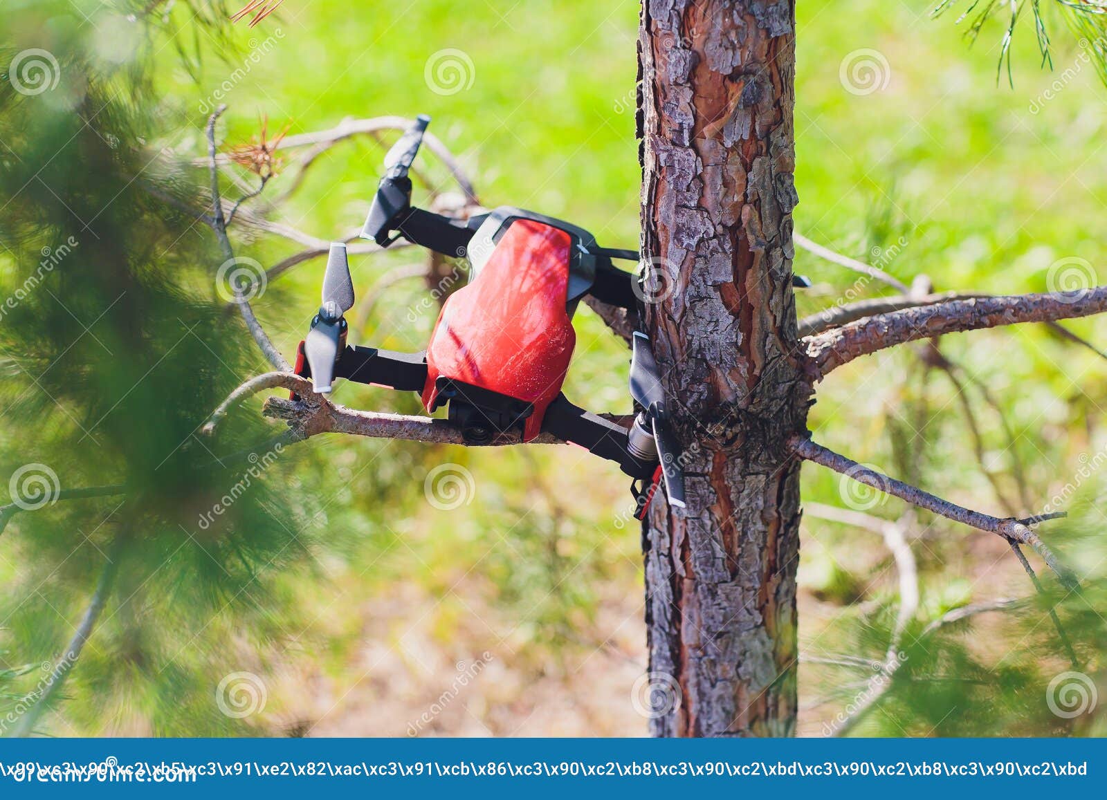 Failed Drone Crush On The Tree And Falled Down With Broken Leg And ...