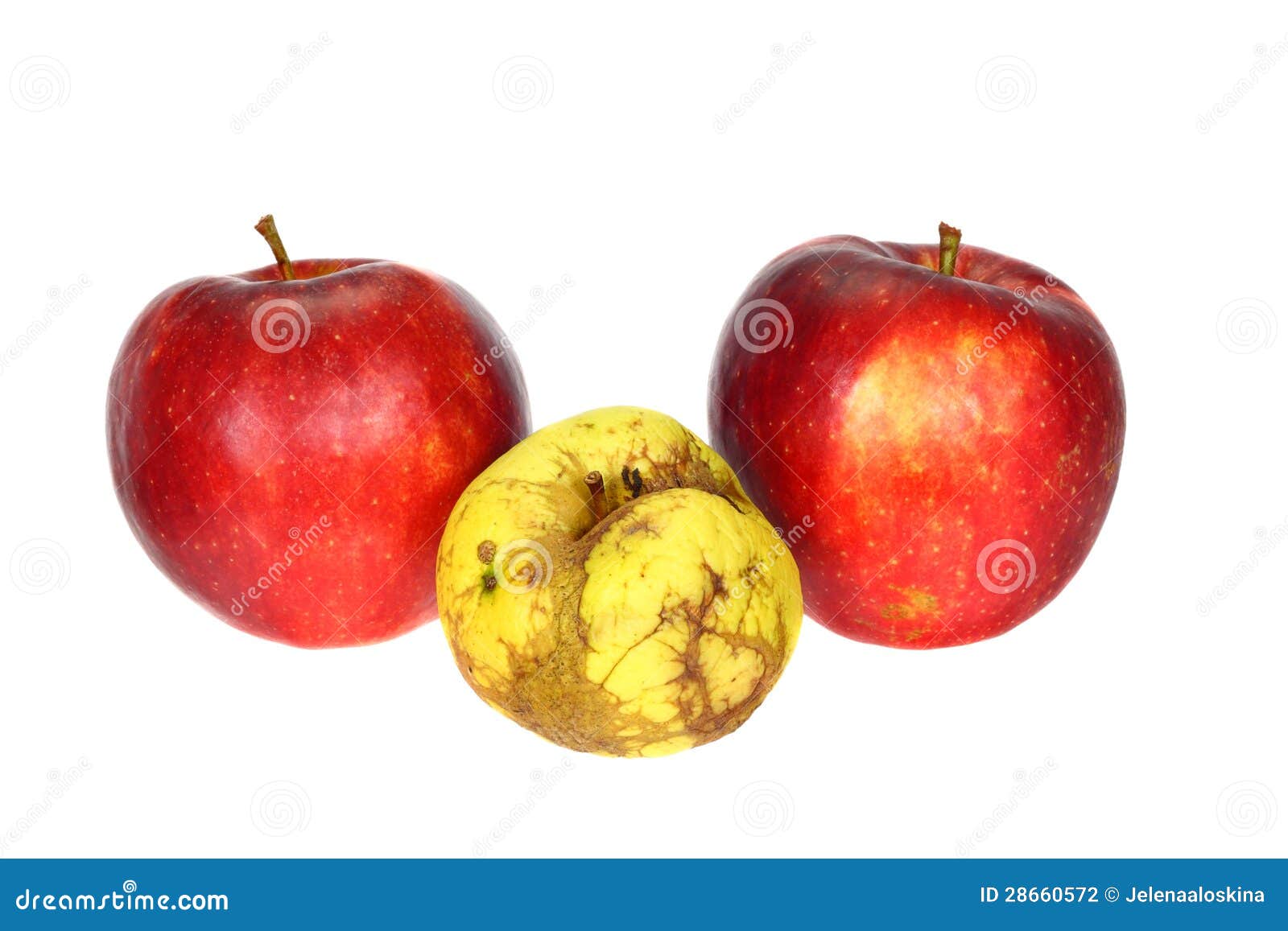 Misshapen Apples Photos - Free & Royalty-Free Stock Photos from Dreamstime