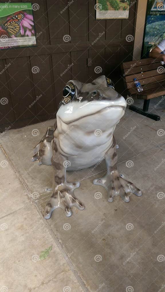 Fair frog stock photo. Image of statue, fair, frog, huge - 127756570