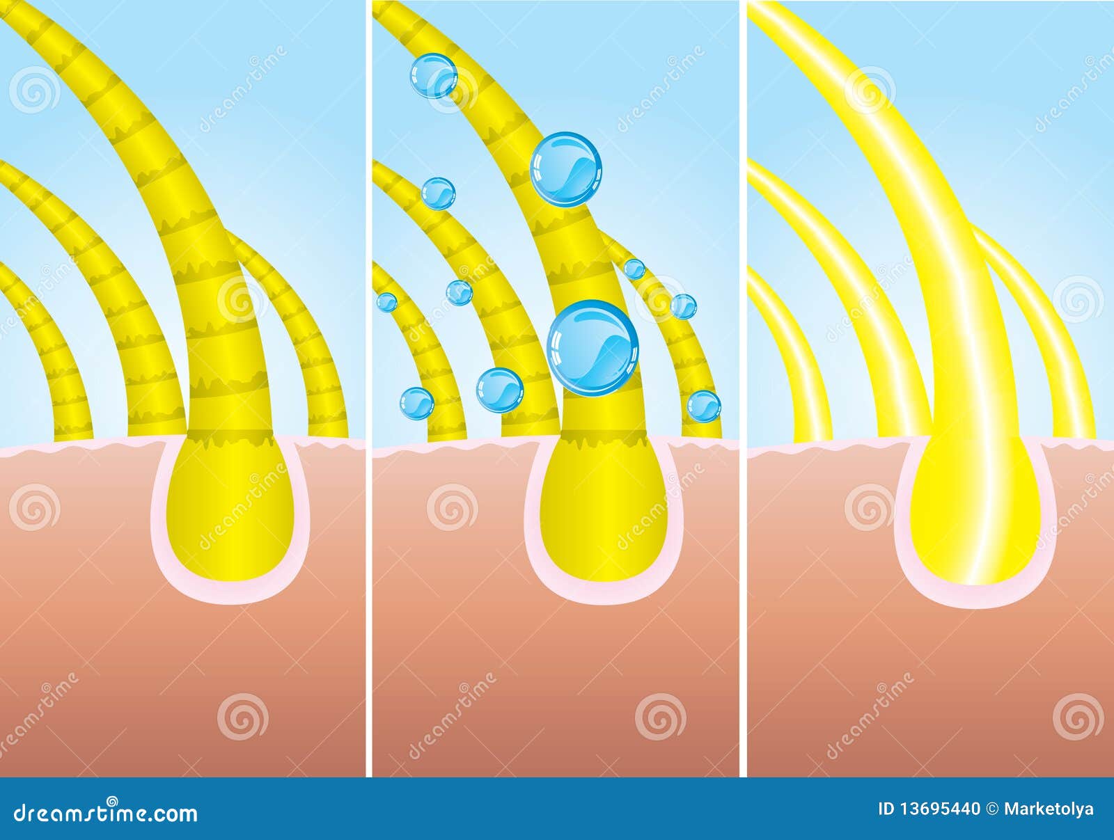 Fair Hair stock vector. Illustration of fine, healthy - 13695440