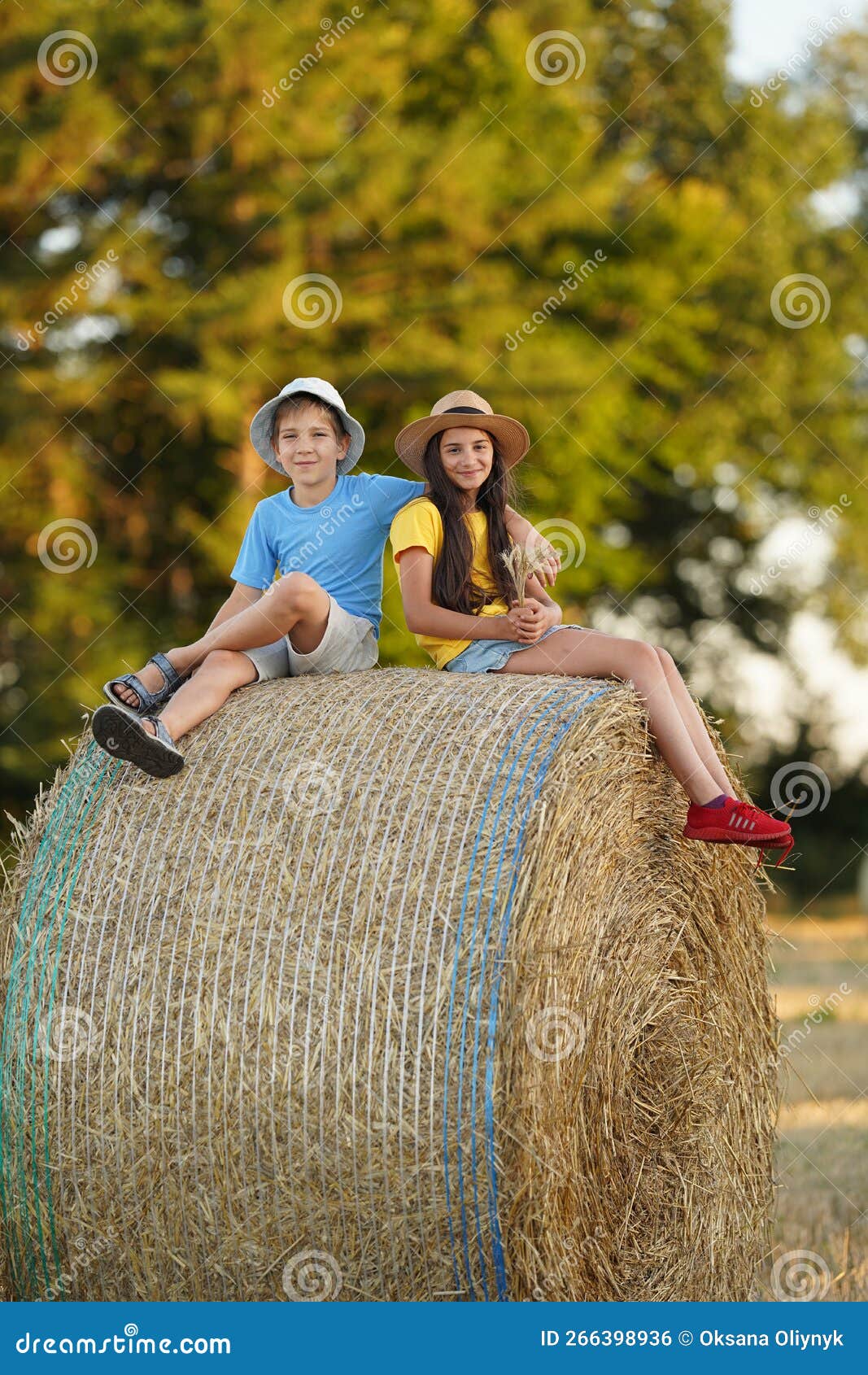 A Fair-haired Boy and Girl are Sitting on a Haystack at Sunset and are ...