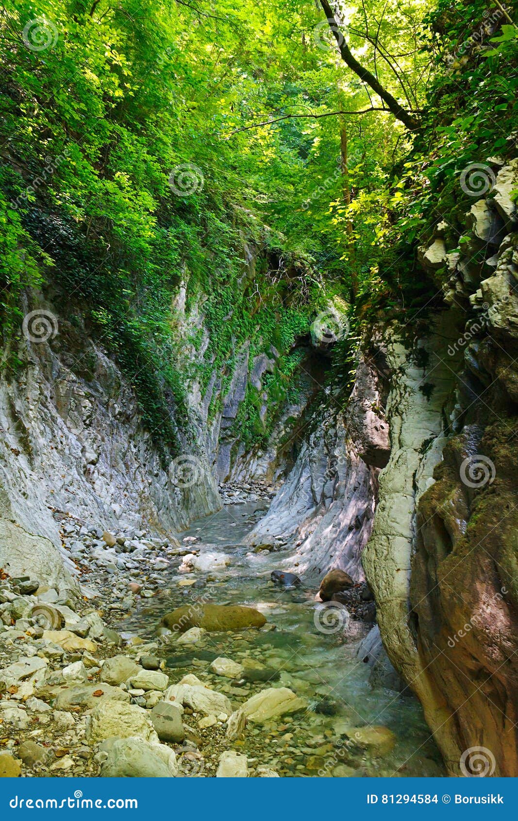 Fair Mountain Ravine with a Creek in Southern Forest Stock Photo ...