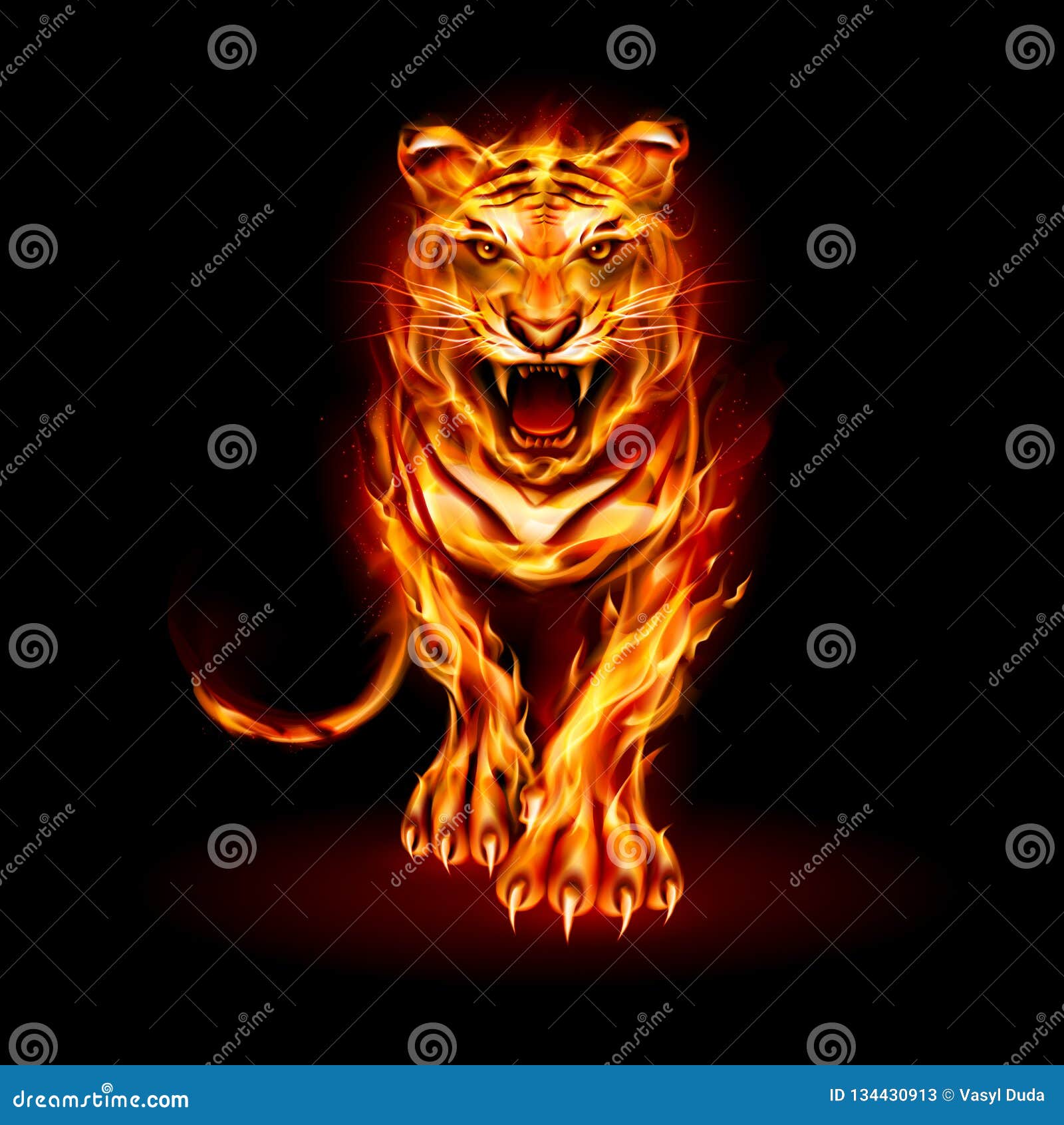 Fire And Water Tiger Wallpaper