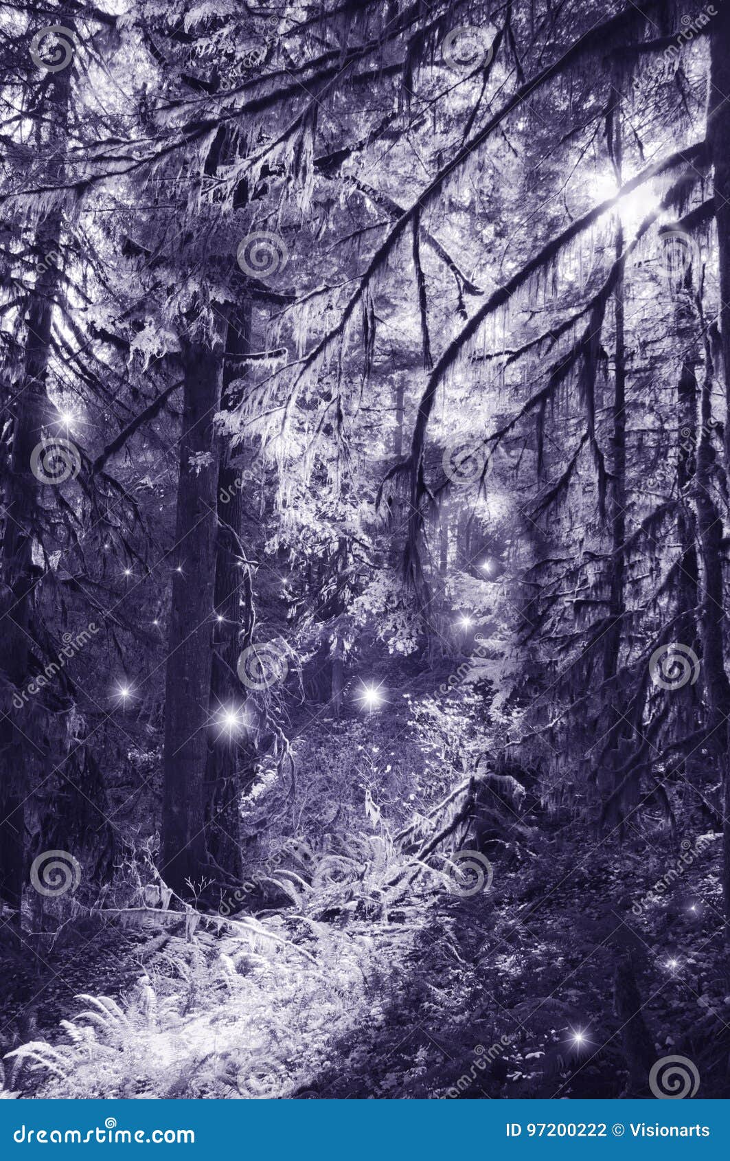 Fairies in Moonlight Dancing in the Magical Forest Stock Photo - Image ...
