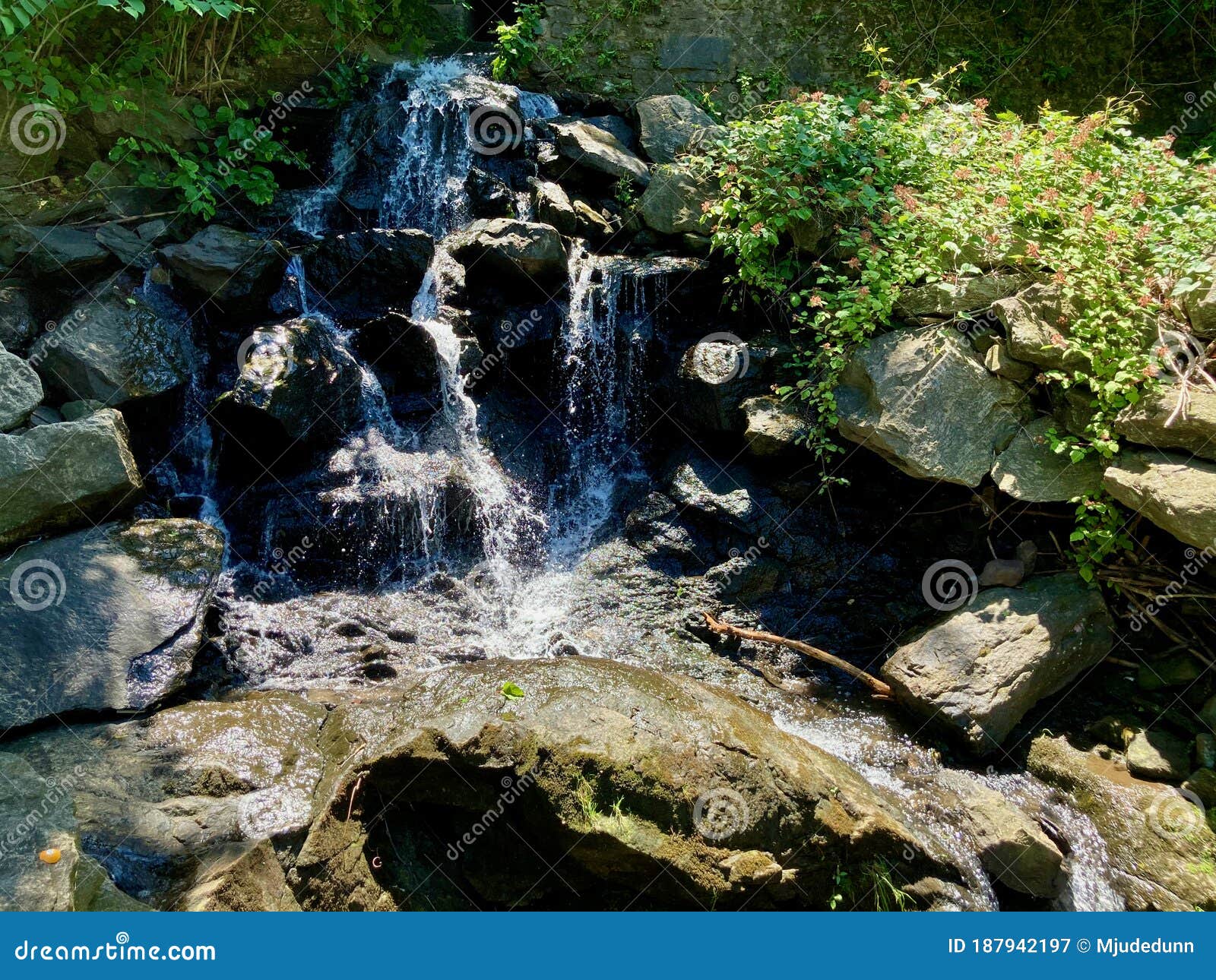 Fairmount Park MLK Waterfall Stock Image - Image of northern, martin ...