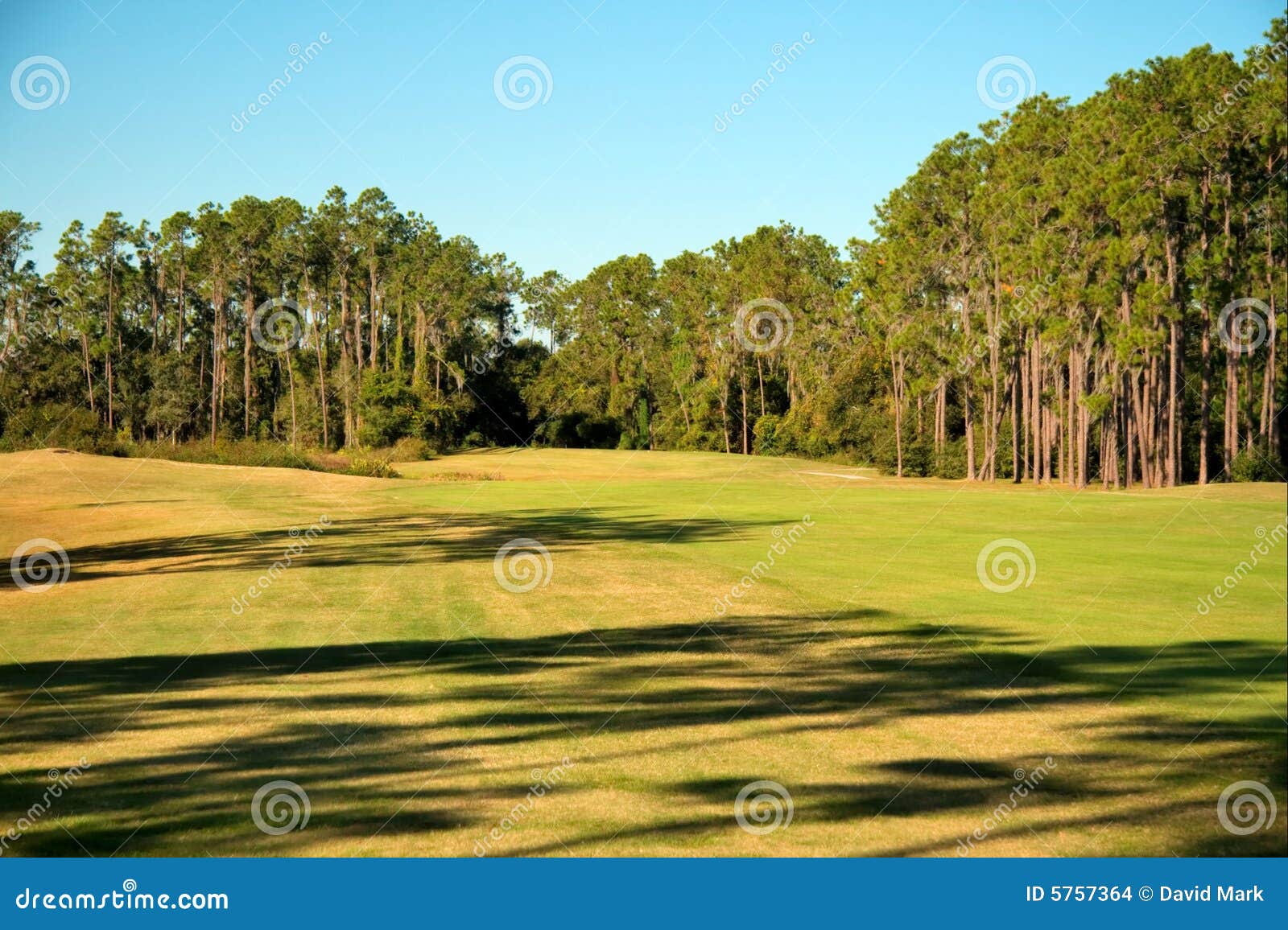 The Fairway stock photo. Image of outside, grass, spring - 5757364