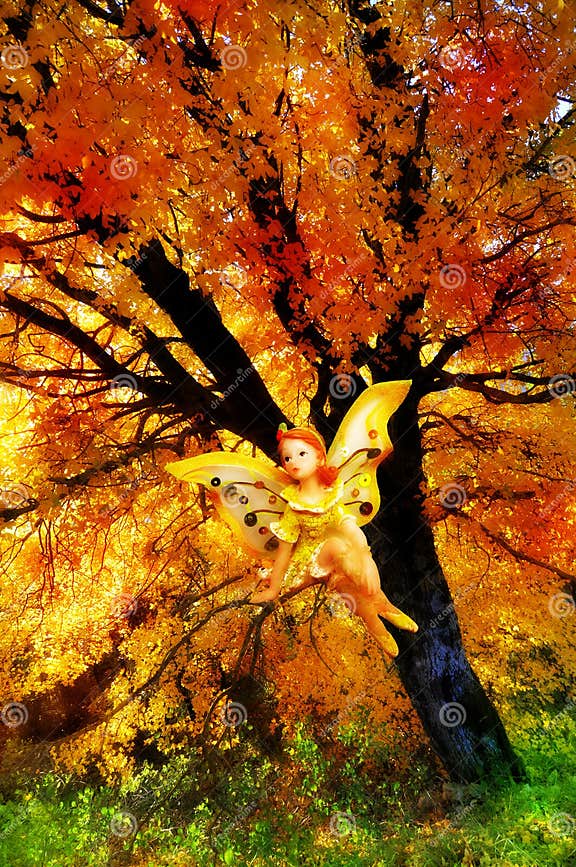 Fairy in Autumn Magic Forest Stock Photo - Image of magic, bright: 26805120