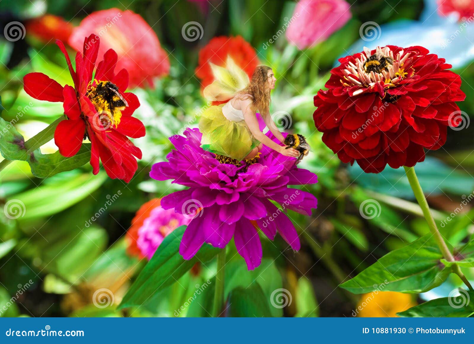 Fairy and Bumble Bees. stock photo. Image of fairytale - 10881930