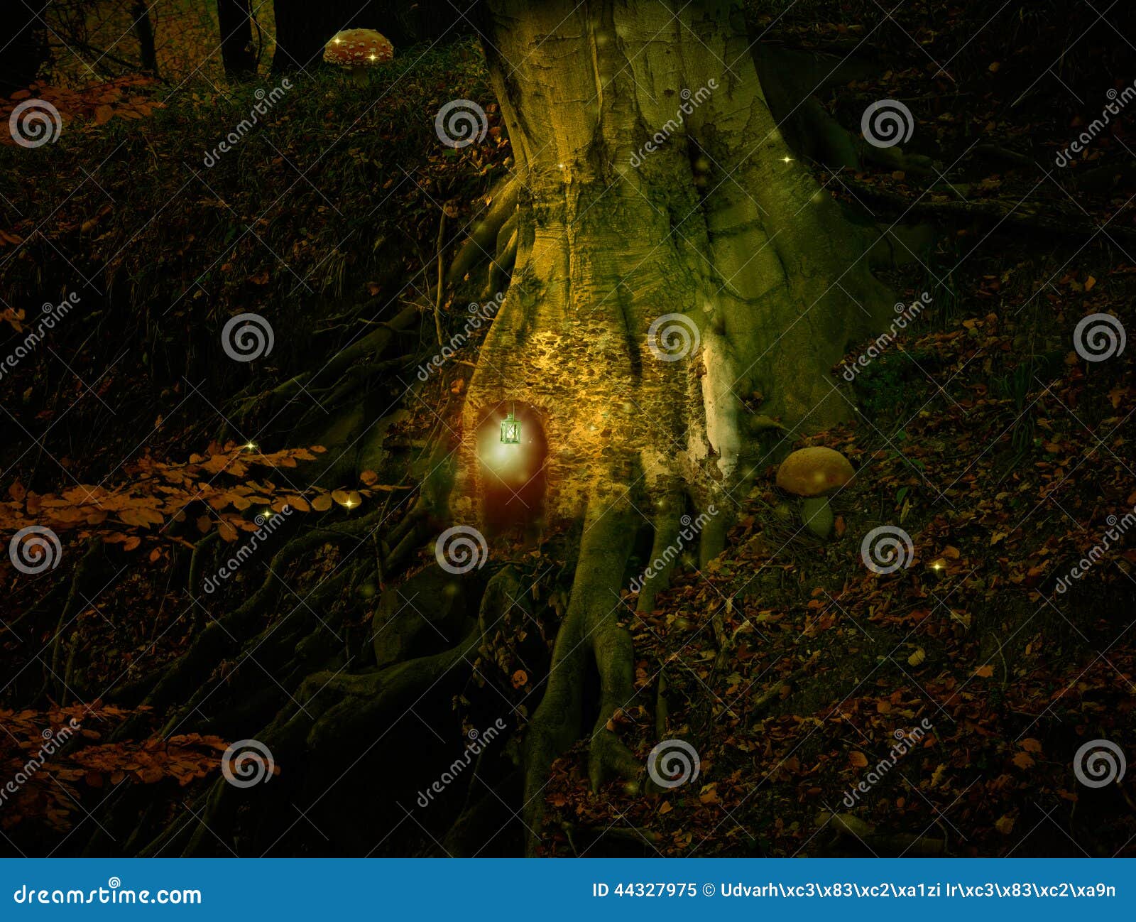 Fairy Cottage in the Forest Stock Image - Image of magic, forest: 44327975