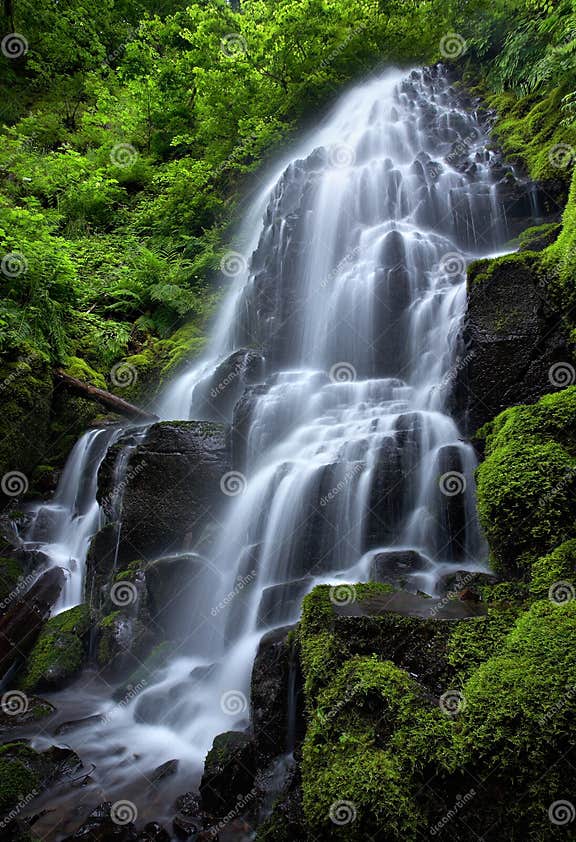 Fairy Falls stock photo. Image of waterfall, fantasy, spring - 5044020