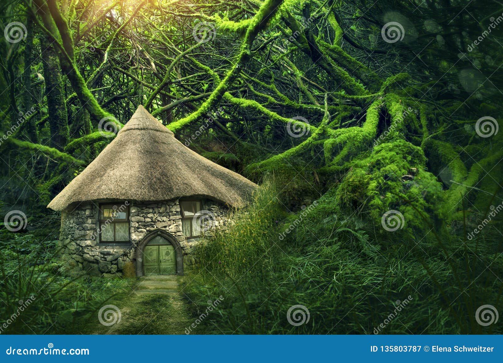 Fairy forest stock image. Image of tree, landscape, wood - 135803787