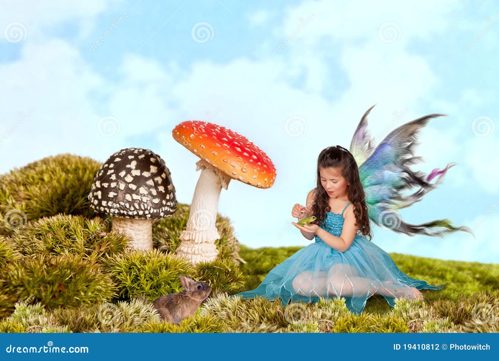 Fairy with frog prince stock photo. Image of dream, holding - 19410812