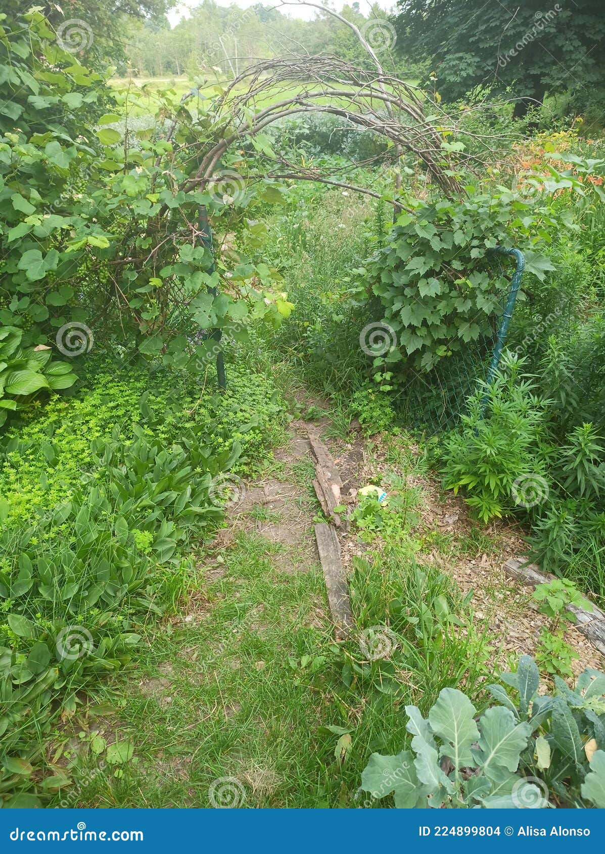 Fairy garden gate stock photo. Image of magical, gardens - 224899804