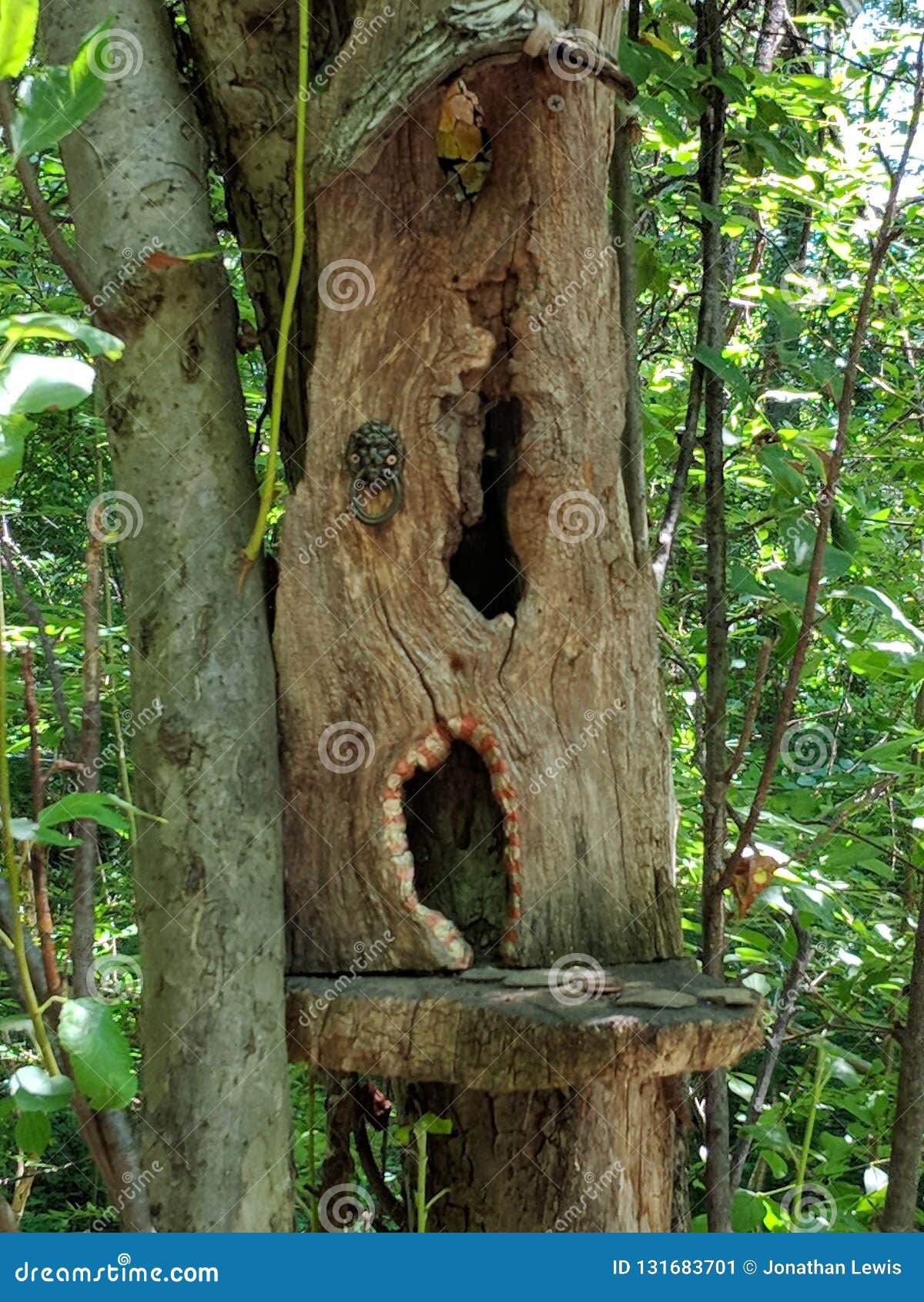 Fairy Home in Tree Hollow stock image. Image of tinker - 131683701