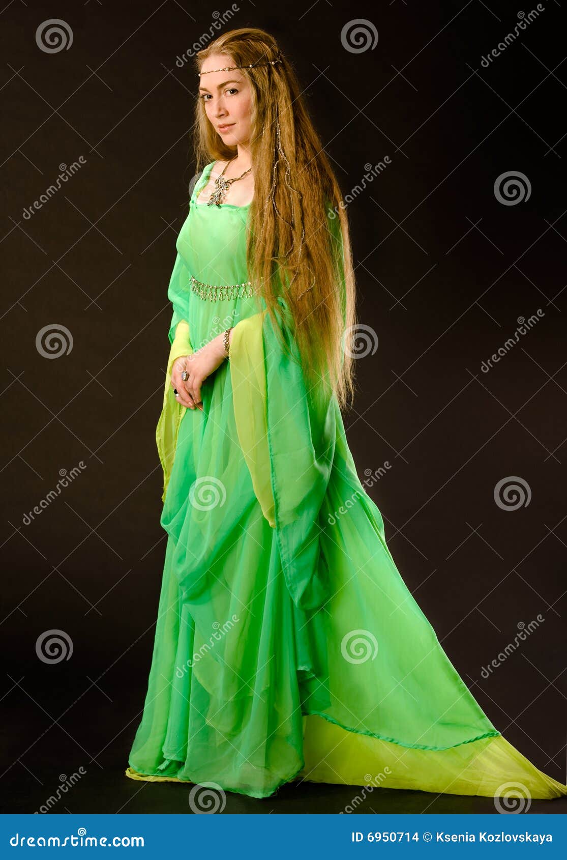 Fairy Lady stock photo. Image of magic, adult, beautiful - 6950714