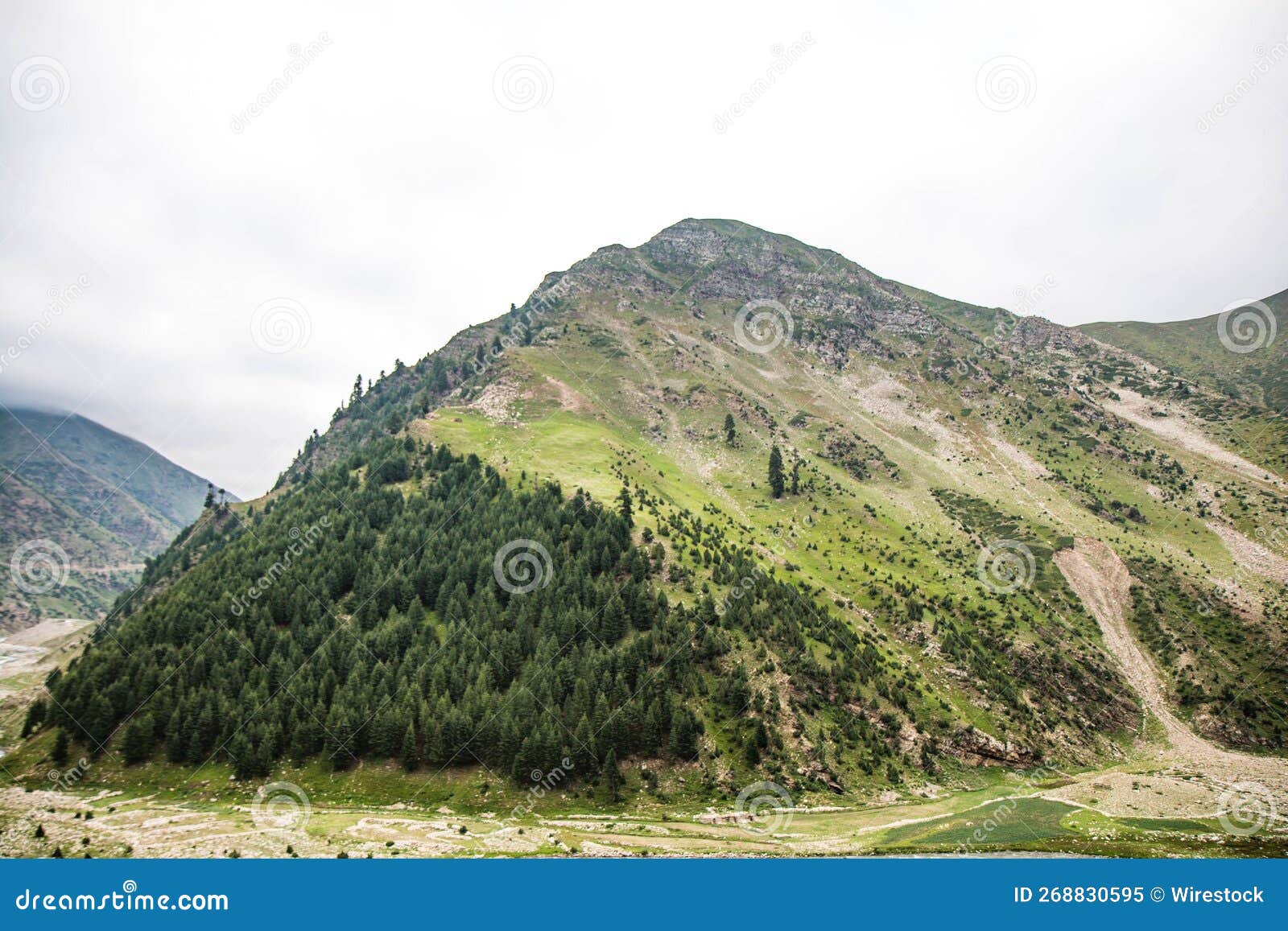 Fairy Meadows of Nanga Parbat in India Stock Image - Image of summer ...