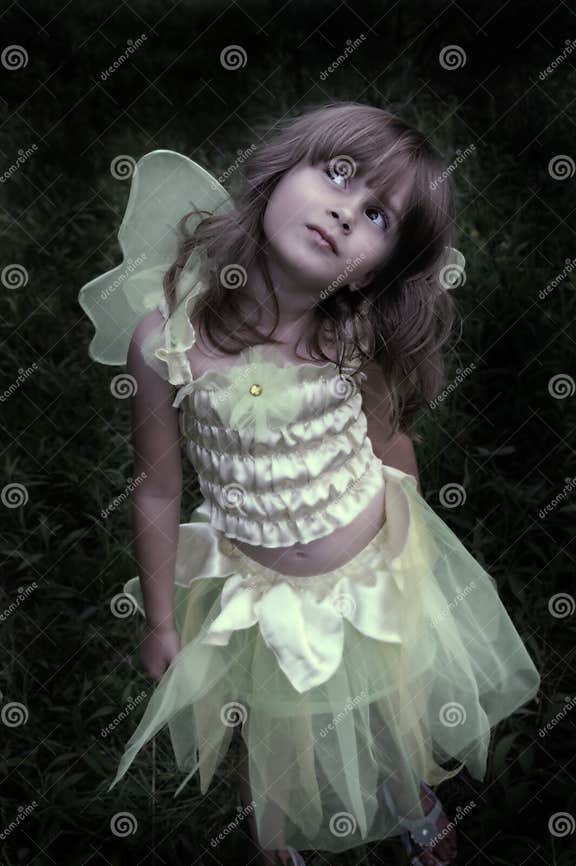 Fairy princess stock image. Image of dreamy, soft, beautiful - 2417903