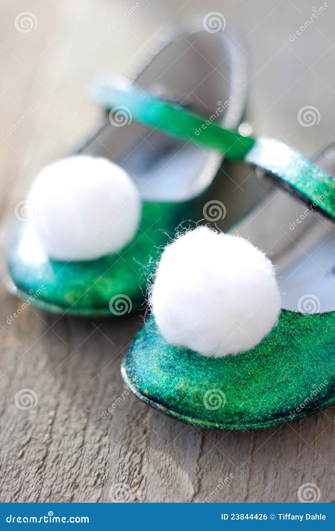 Fairy shoes stock photo. Image of shoes, costume, imagine - 23844426