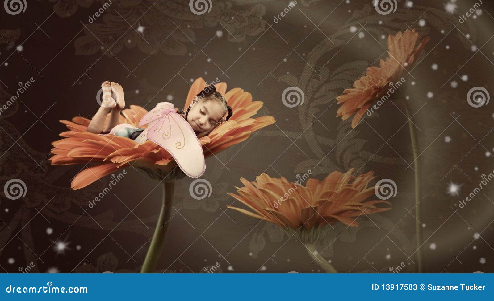 Fairy sleeping in a flower stock image. Image of pretend - 13917583