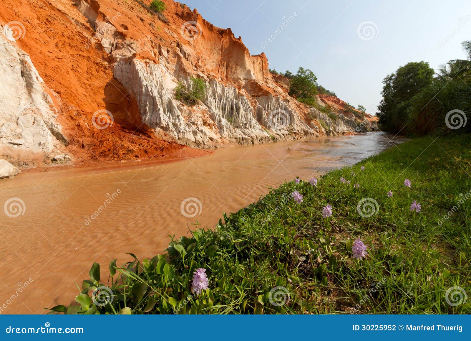 Fairy springs stock photo. Image of stained, grass, rocky - 30225952