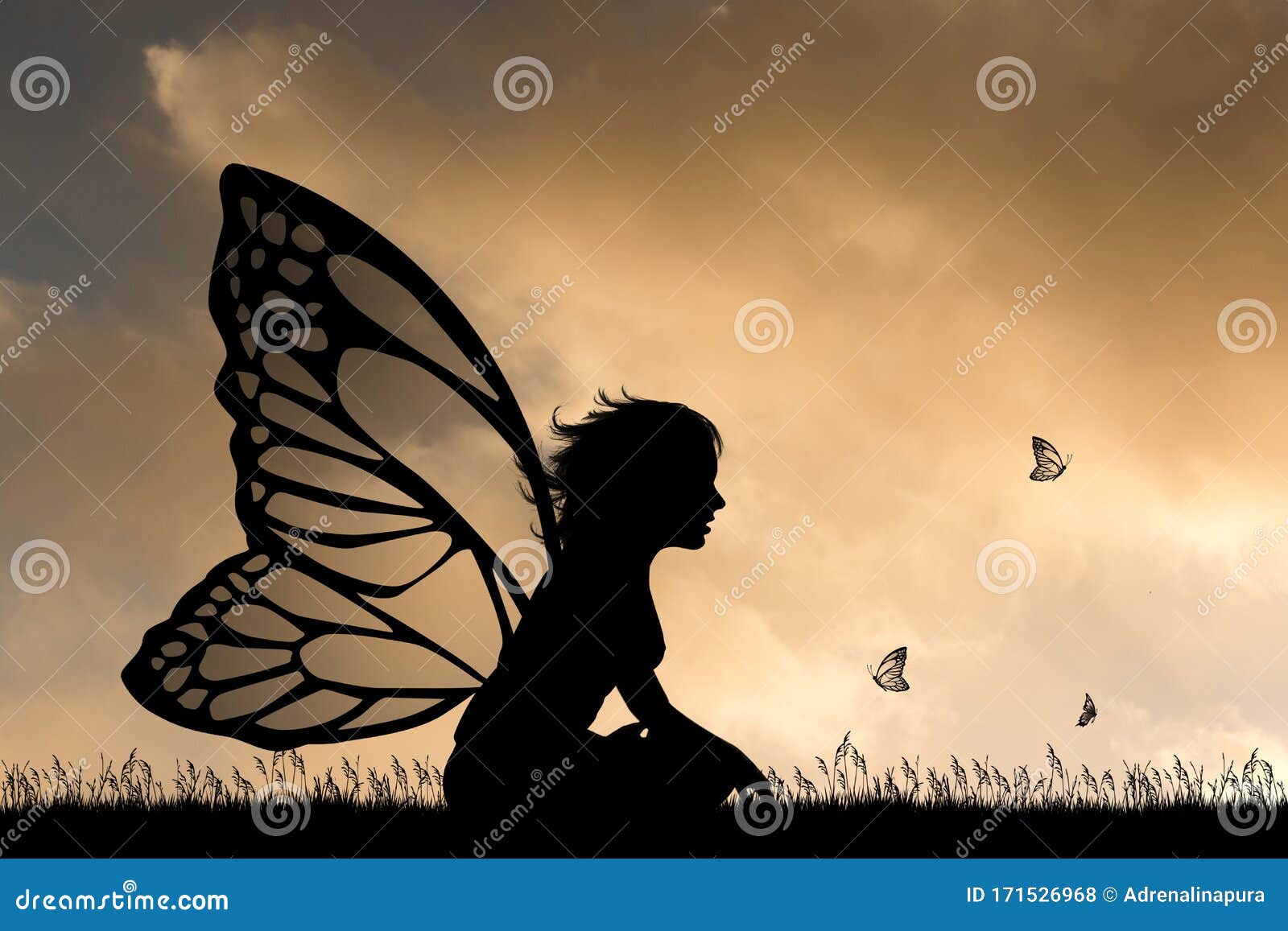 Fairy at sunset stock illustration. Illustration of tale - 171526968