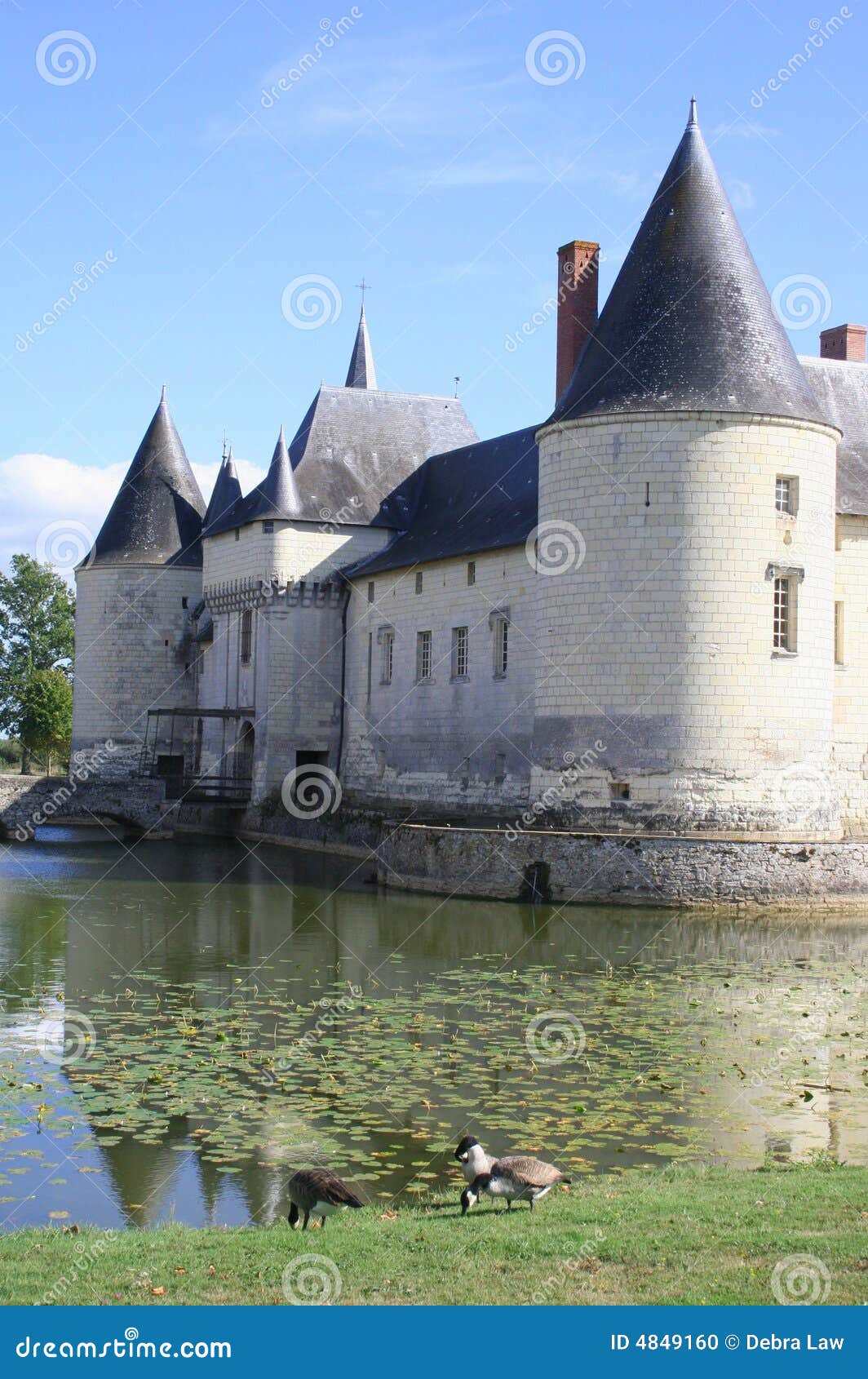 Fairy Tale Chateau, France stock photo. Image of battlements - 4849160