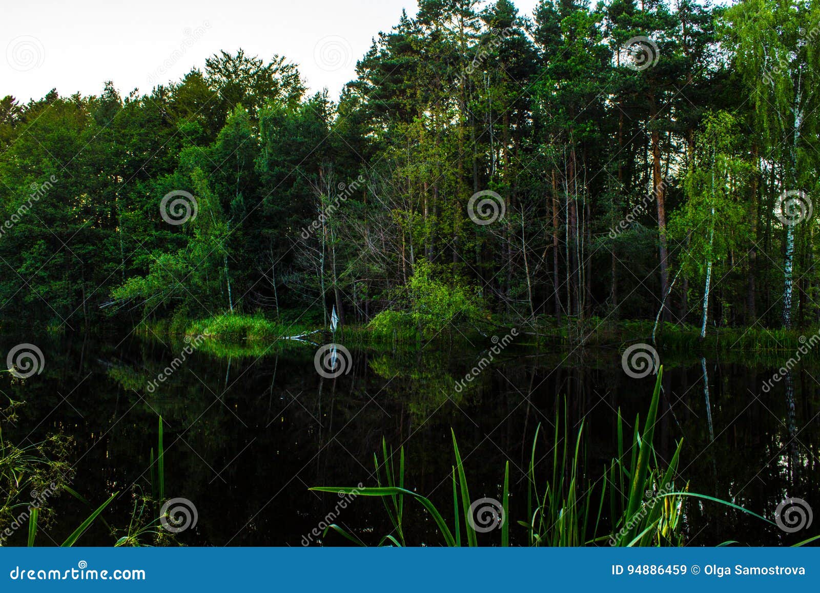 Fairy-tale Lake in the Forest. Background. Nature Stock Image - Image ...