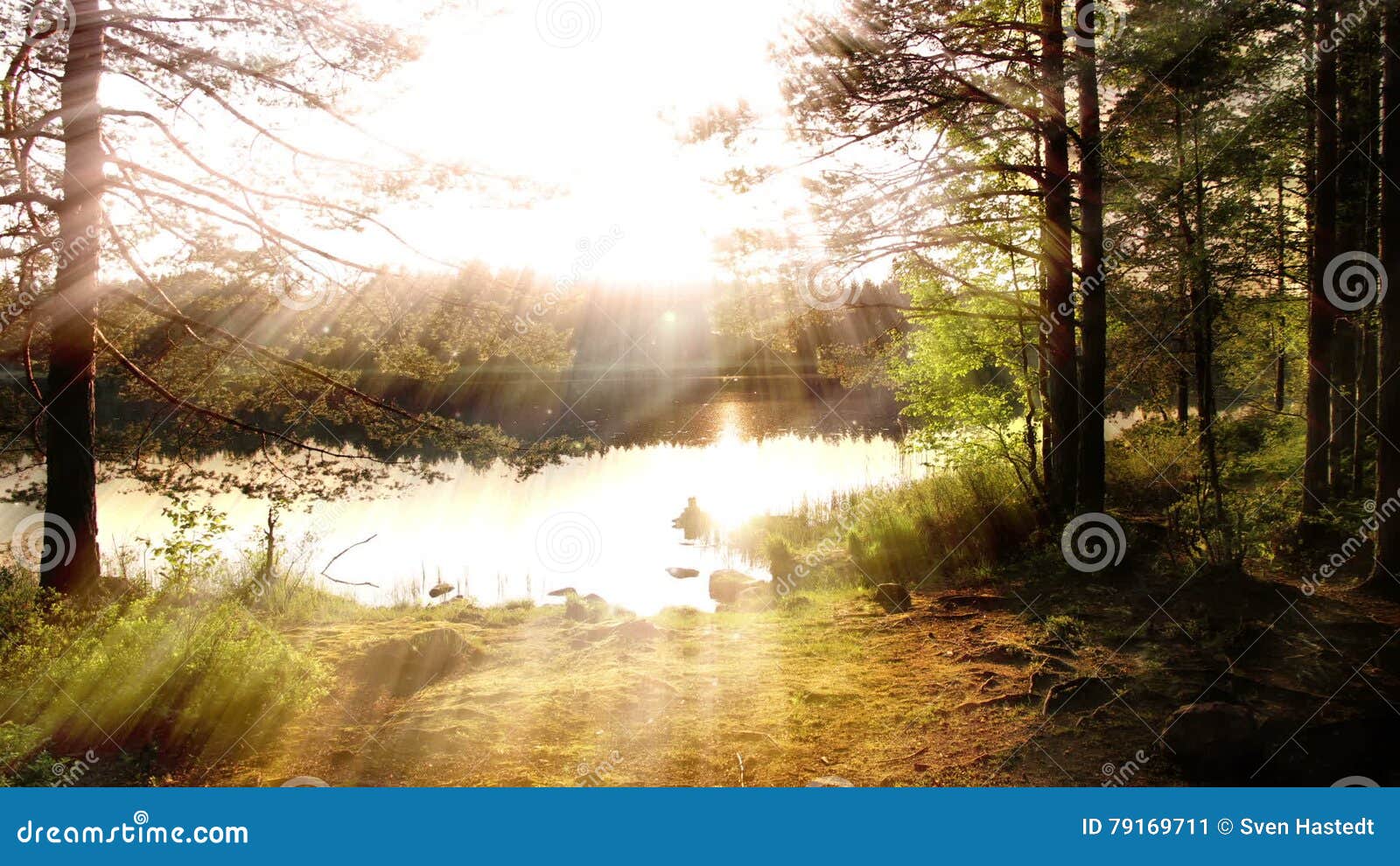 Landscape Loop Stock Footage & Videos - 16,354 Stock Videos