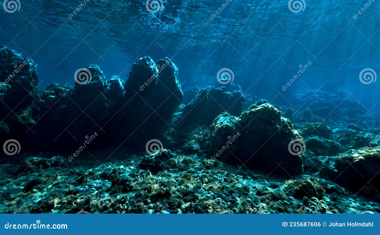 Fairy Tale Landscape Underwater in Sunlight Stock Photo - Image of ...