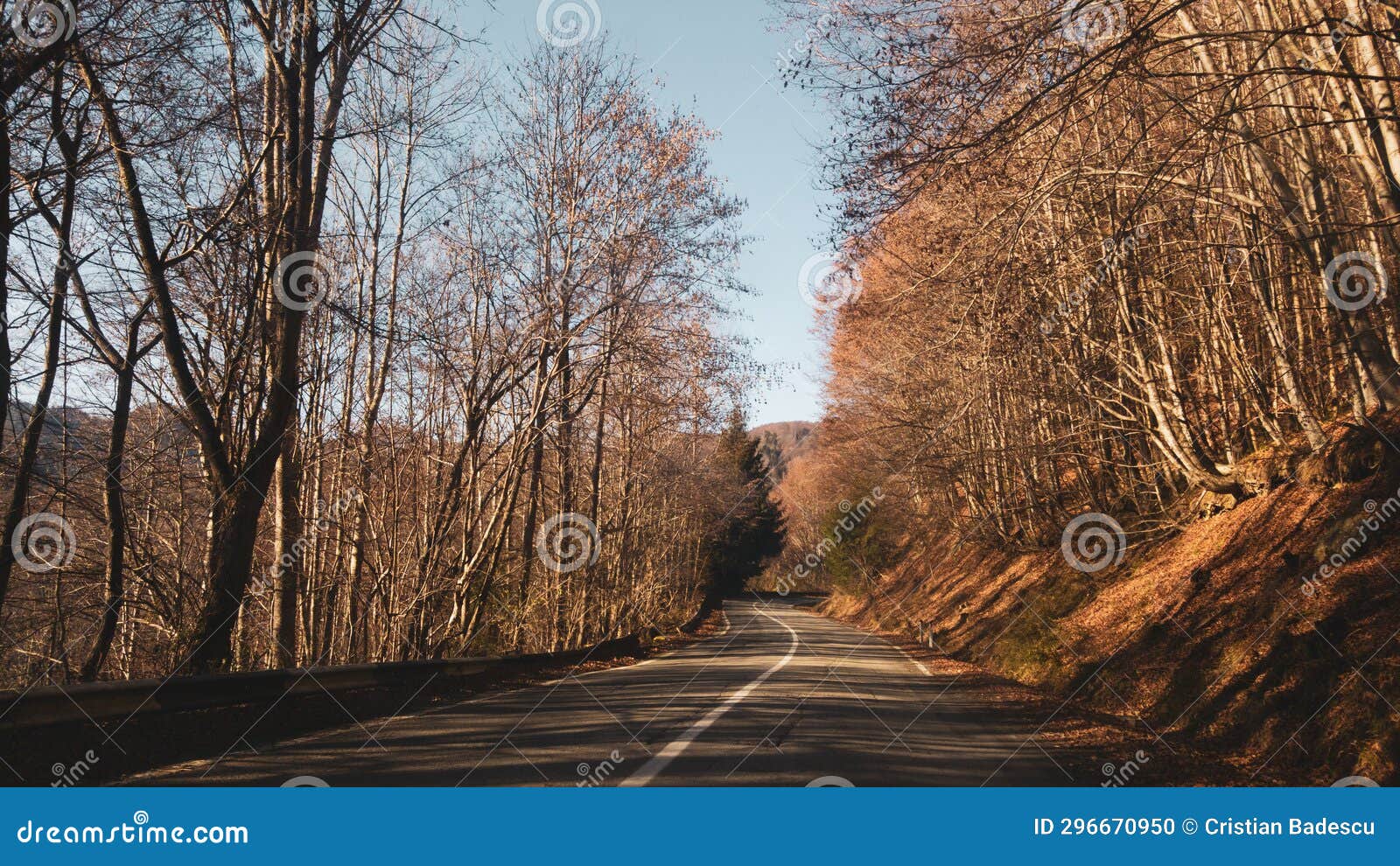 Fairy Tale Road through the Forest in a Sunny Day of Winter at the ...