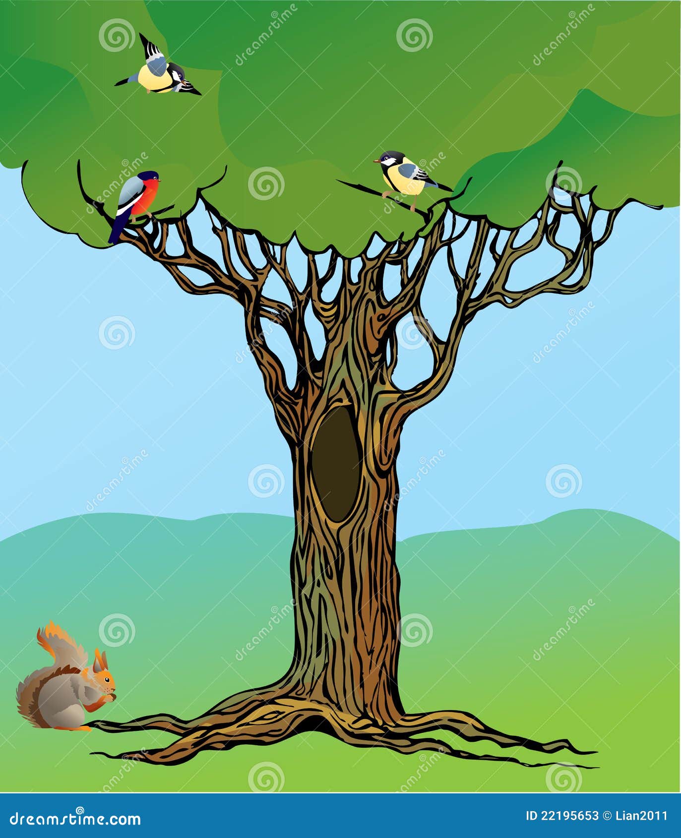 Fairy-tale Rooted Oak Tree, Squirrel And Birds Cartoon Vector ...