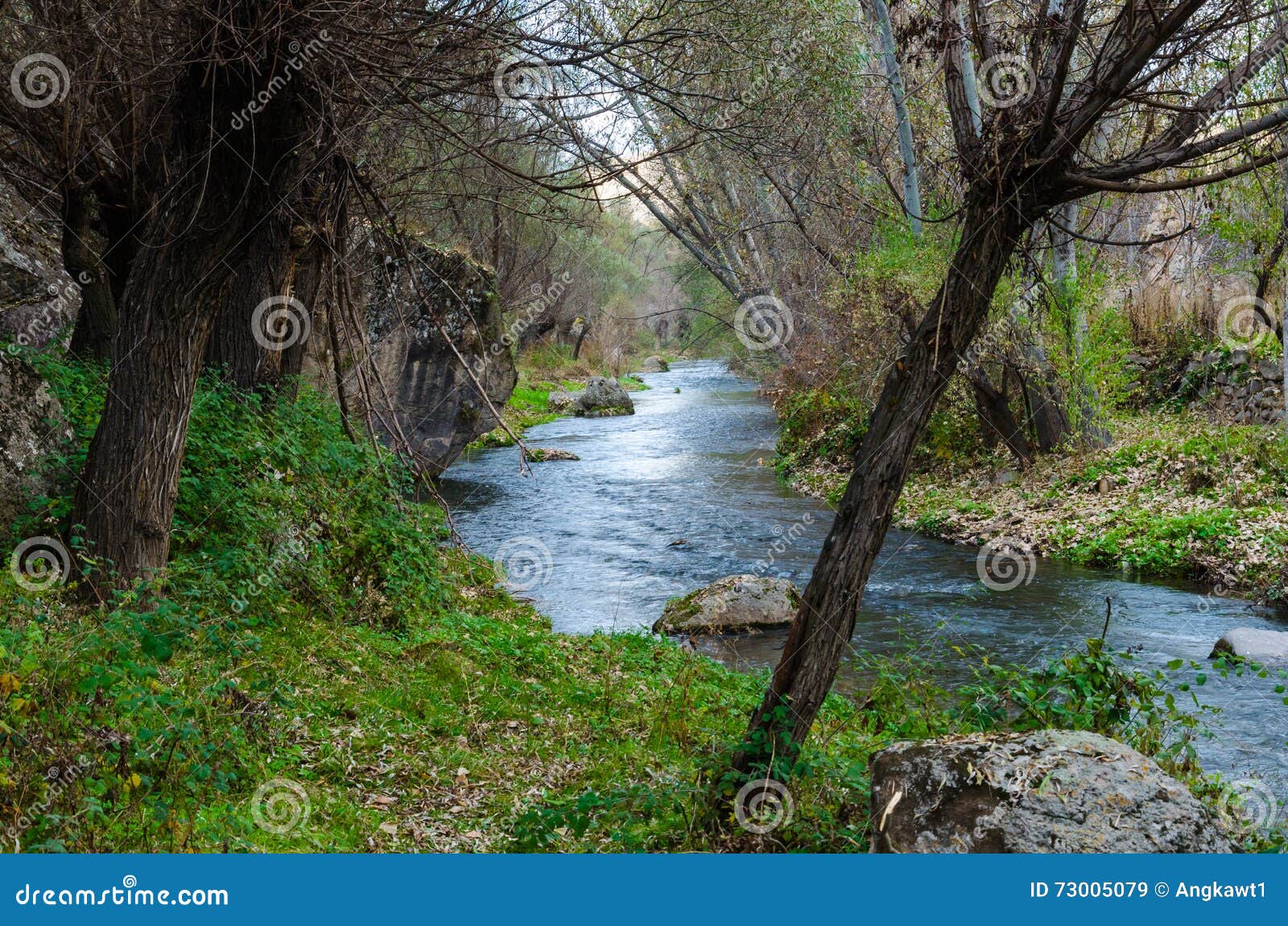 Fairy Tale View, River in Ihalara Valley. Stock Image - Image of field ...