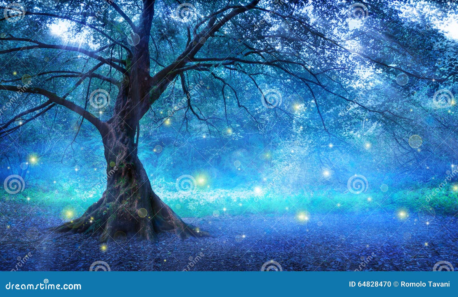 Fairy Tree stock photo. Image of magic, mysterious, surreal - 64828470