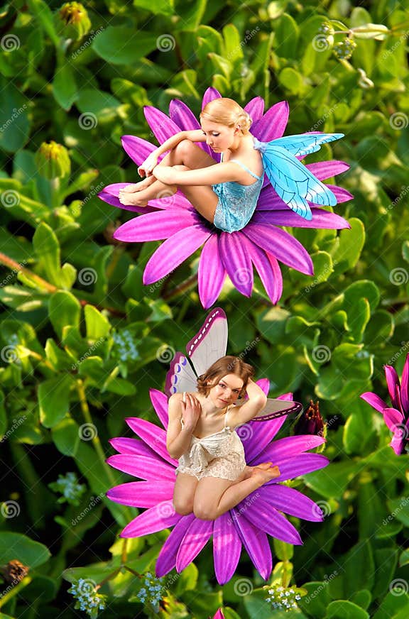 Fairy World 1 stock image. Image of fantasy, pink, cute - 821721