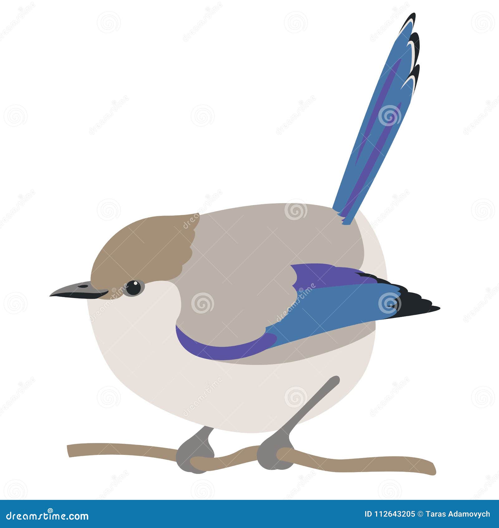 Red Backed Fairy Wren Sitting On A Branch. Color Pencil Drawing Stock ...