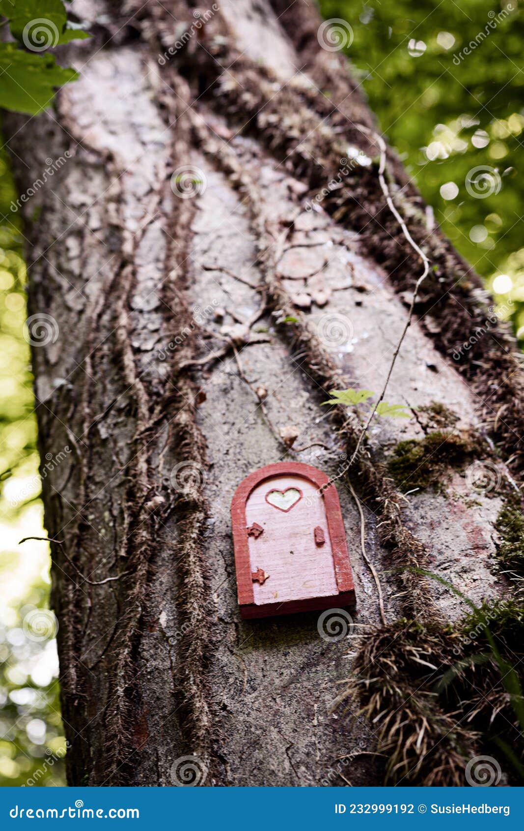 Fairytale Door on Tree in the Forest Stock Photo - Image of decor ...