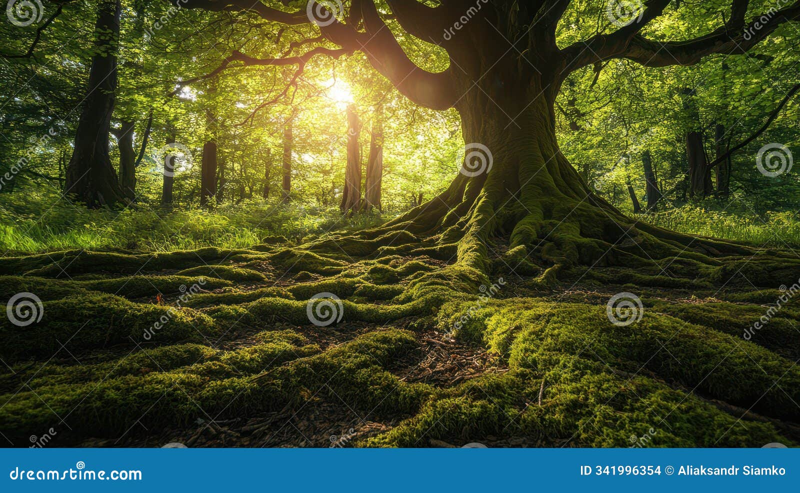 Vibrant Plant In Shadowy Forest With Monolithic Structures Royalty-Free ...