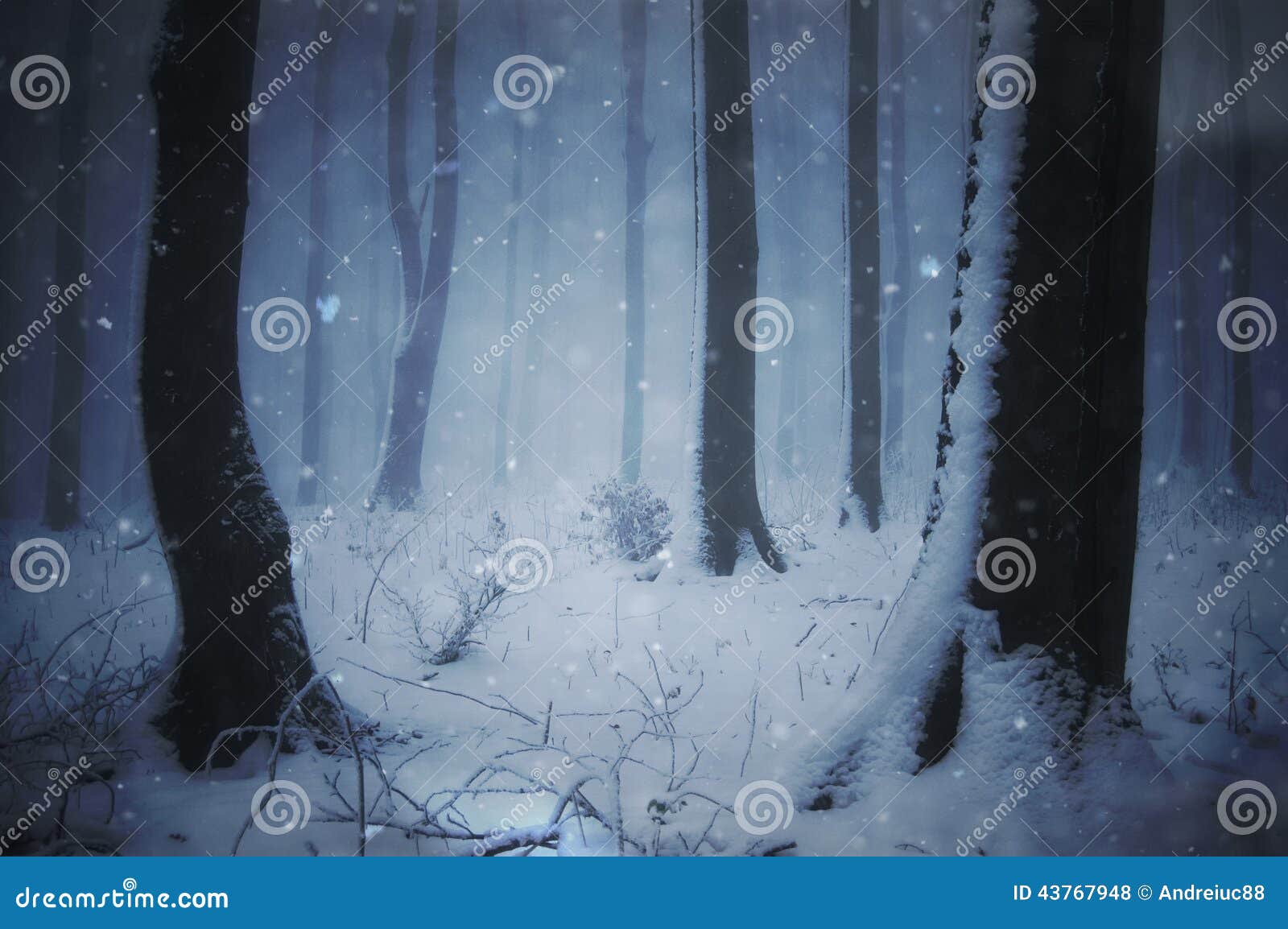 Fairytale Forest with Snow Falling and Fog Stock Photo - Image of dark ...