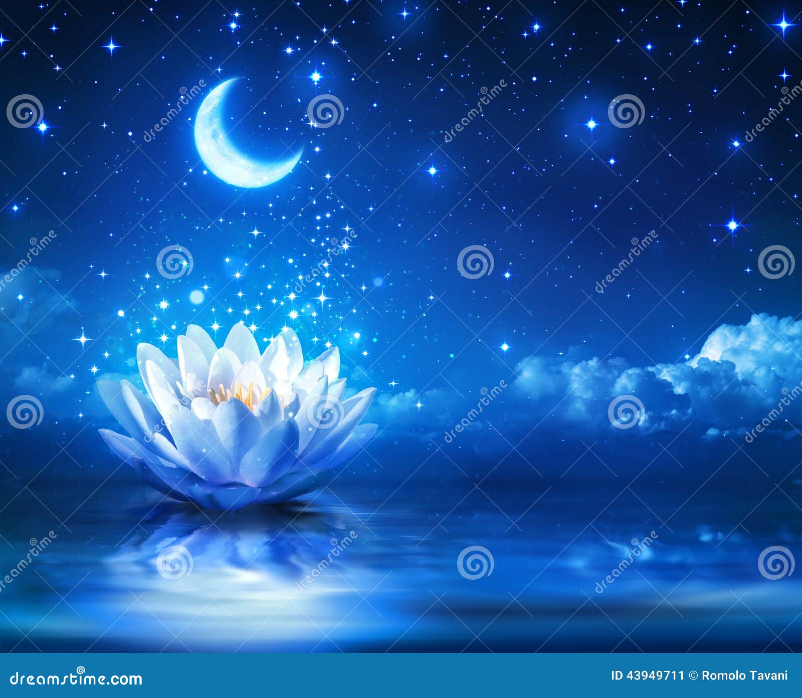 Fairytale and Magic Background Stock Image - Image of fantasy, romantic ...