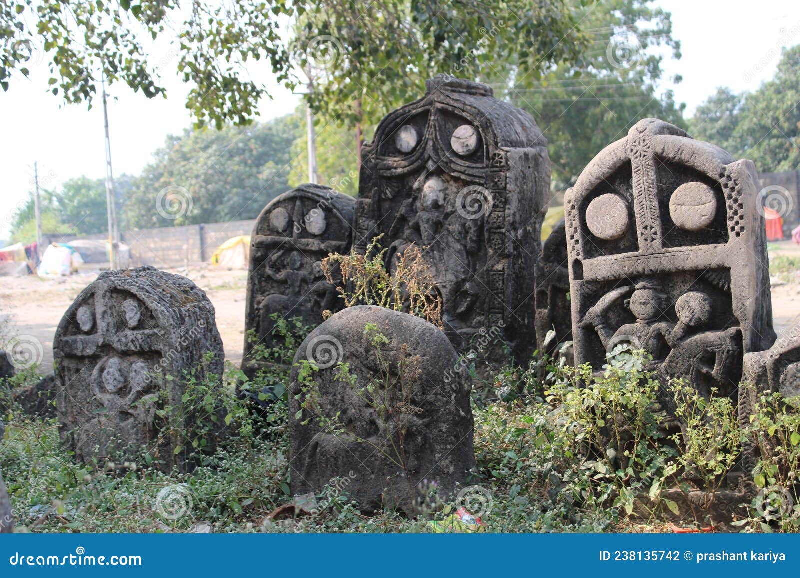Faith in the Forest:how Sacred Grows Function | Goi Monitor Stock Photo ...