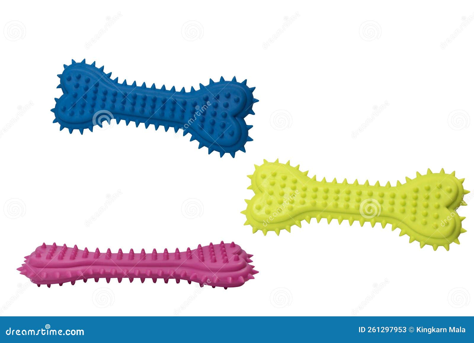 The Fake Bones on a White Background,with Clipping Path Stock Image ...