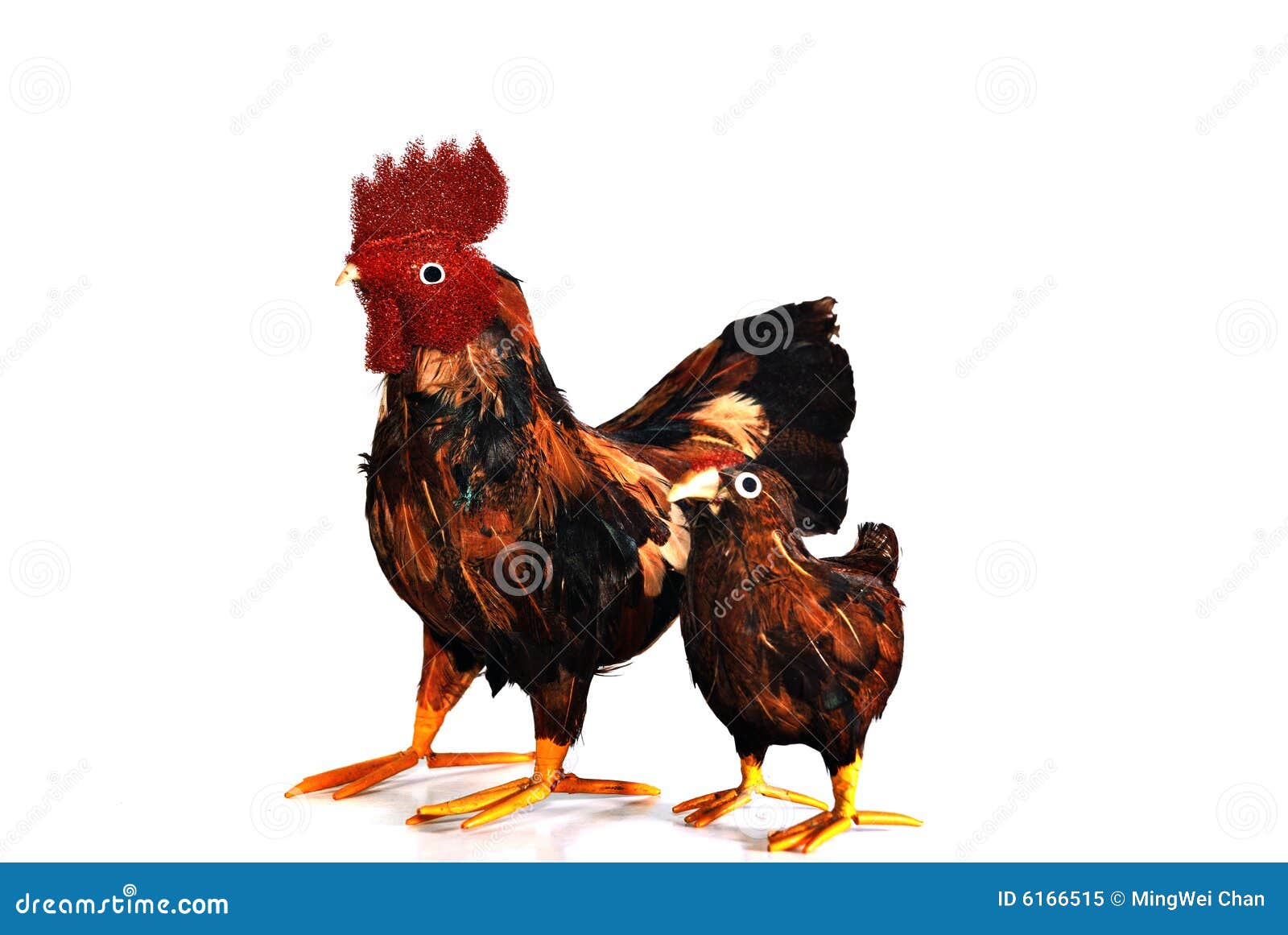Fake Chicken stock image. Image of fowl, bird, animal - 6166515