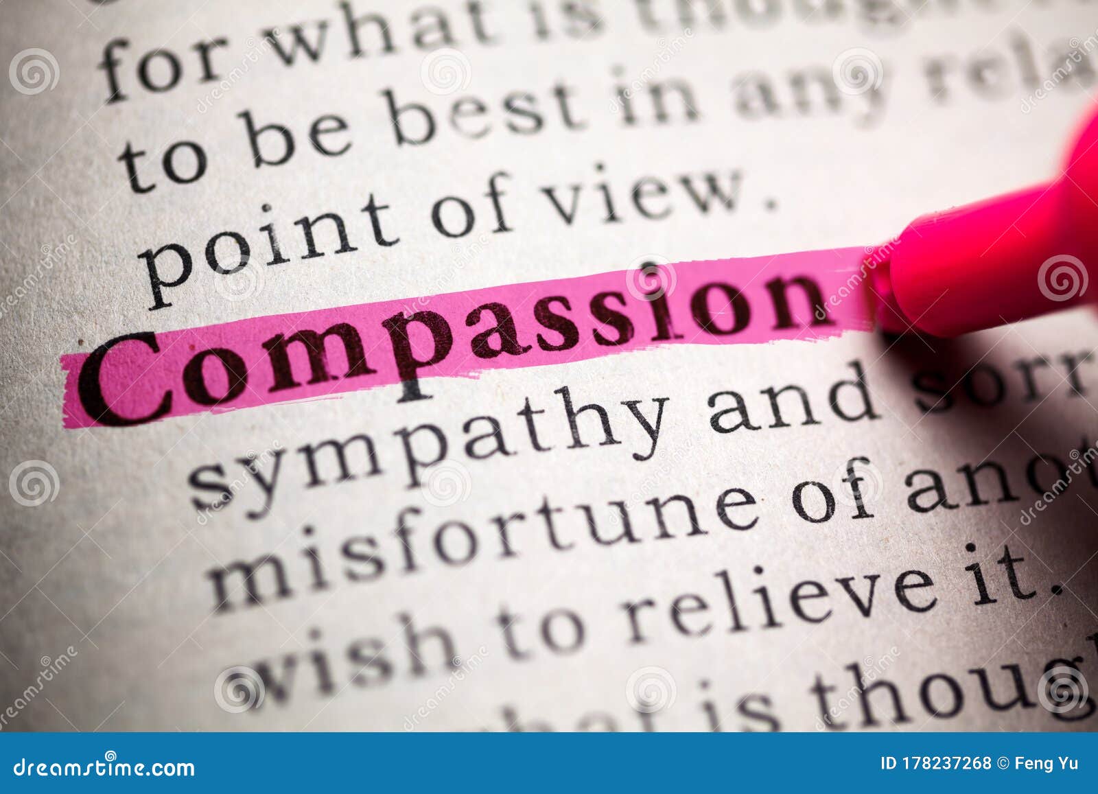 Compassion stock photo. Image of closeup, highlight - 178237268