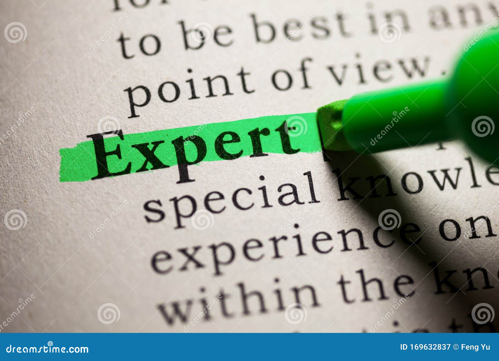 Definition of the Word Expert Stock Image - Image of green, fake: 169632837