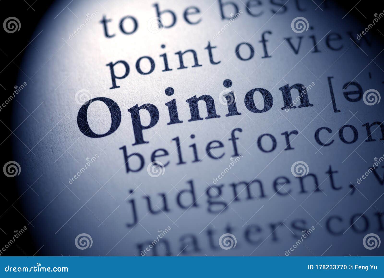 Opinion Definition