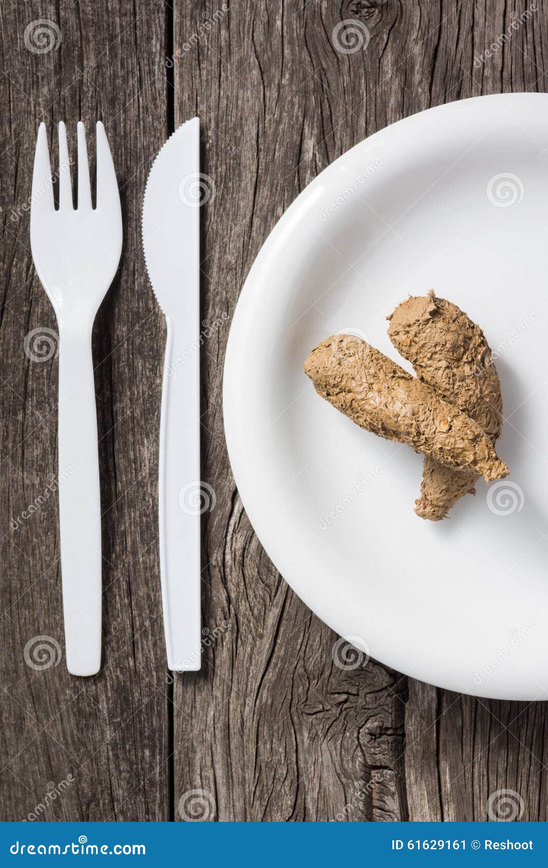 Fake Excrement in Ceramic Dish Stock Image - Image of smelly, faeces ...